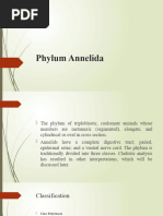 Chaetae and Chaetogenesis in Polychaetes (Annelida) : Harald Hausen ...