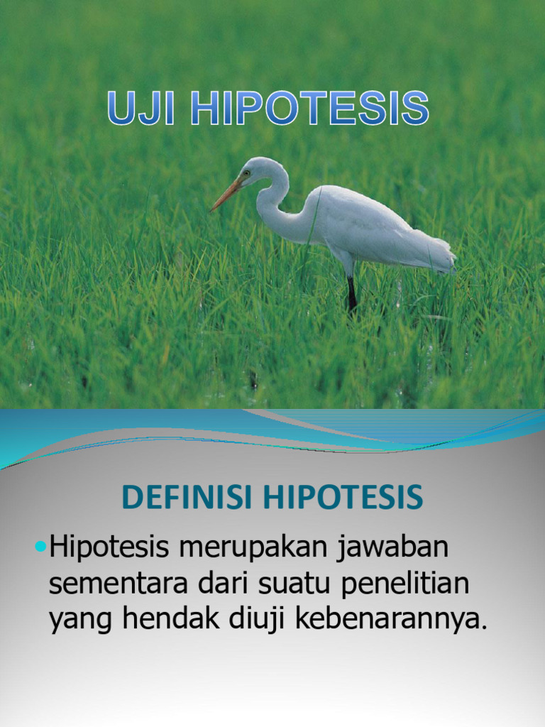 Contoh dan Jenis Hipotesis Penelitian | PDF