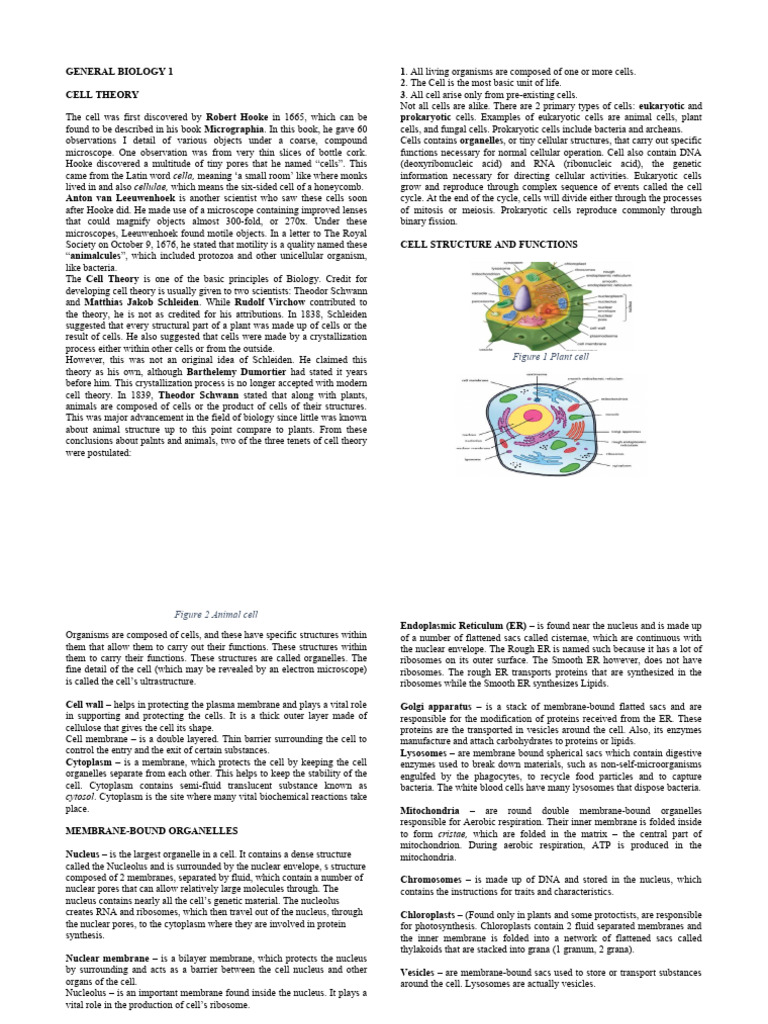 Gen Bio 1 Prelim Handouts | PDF | Cell (Biology) | Mitosis