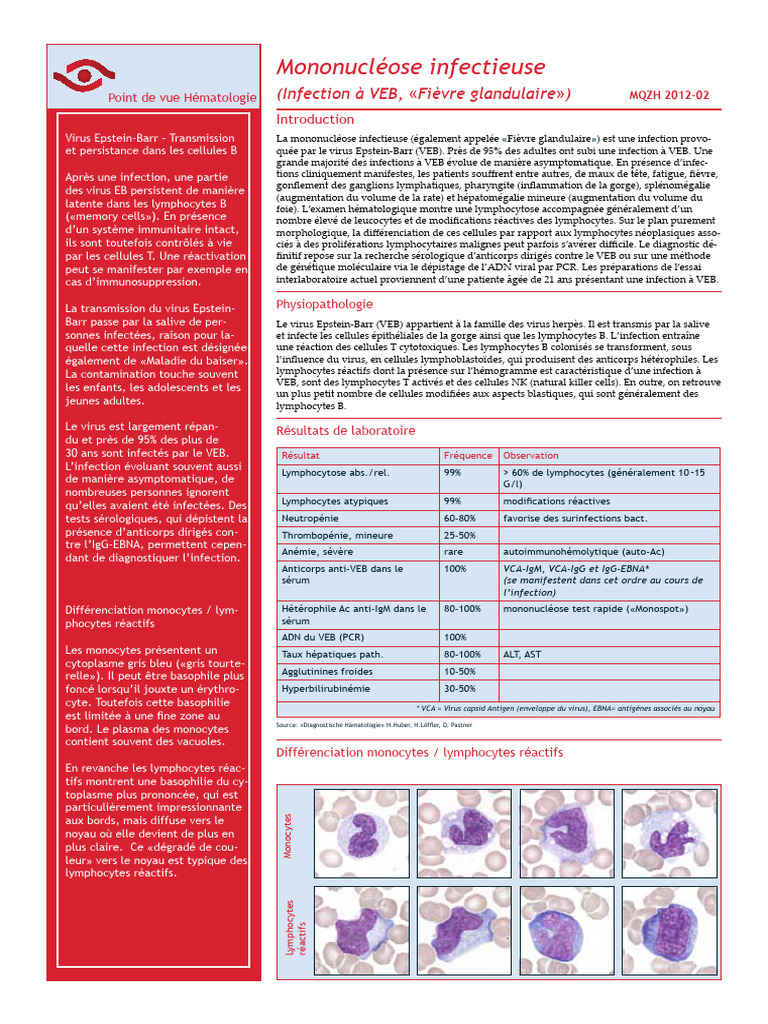 Mononucléose infectieuse et VEB | PDF | Lymphocyte | Spécialités médicales