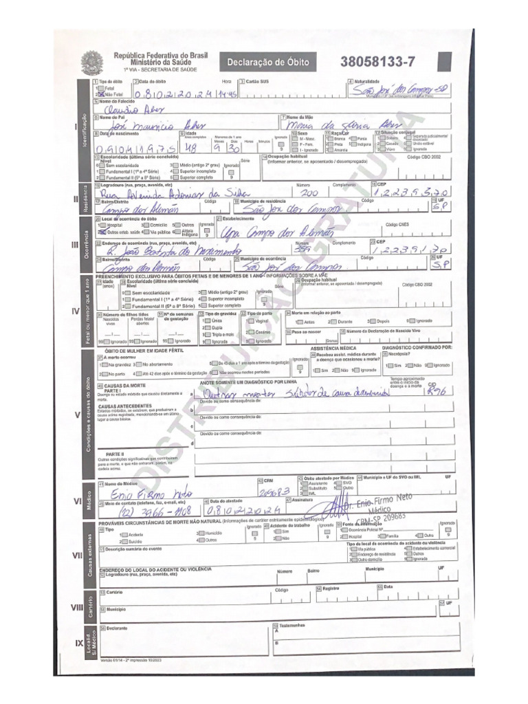 Declaração de Óbito | PDF