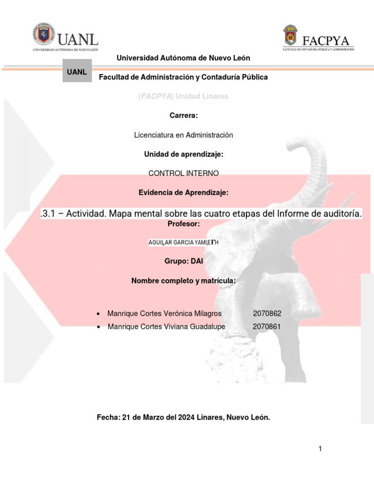Mapa Mental Control Interno | PDF | Auditoría | Evaluación