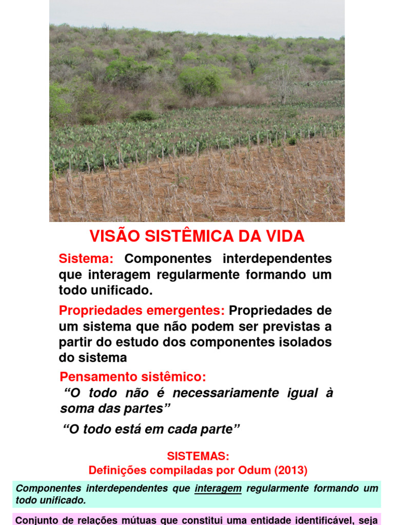 Sistemas Agroalimentares 02abr24 BACEP | PDF | Agricultura | Alimentos