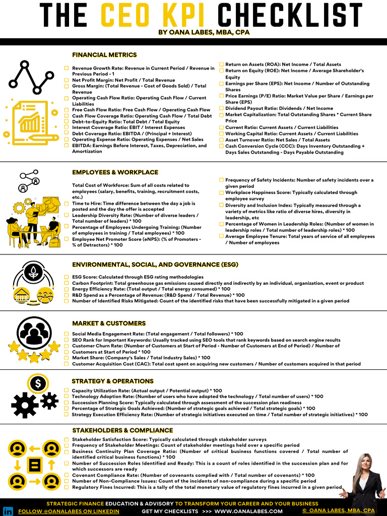 CEO KPI Checklist by Oana Labes | PDF | Net Income | Revenue
