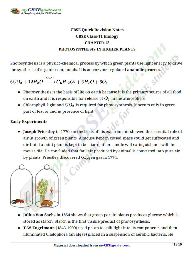 11 Biology Notes Ch13 Photosymthesis in Higher Plants | PDF