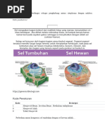 LKPD Struktur Dan Fungsi Sel | PDF | Sains & Matematika