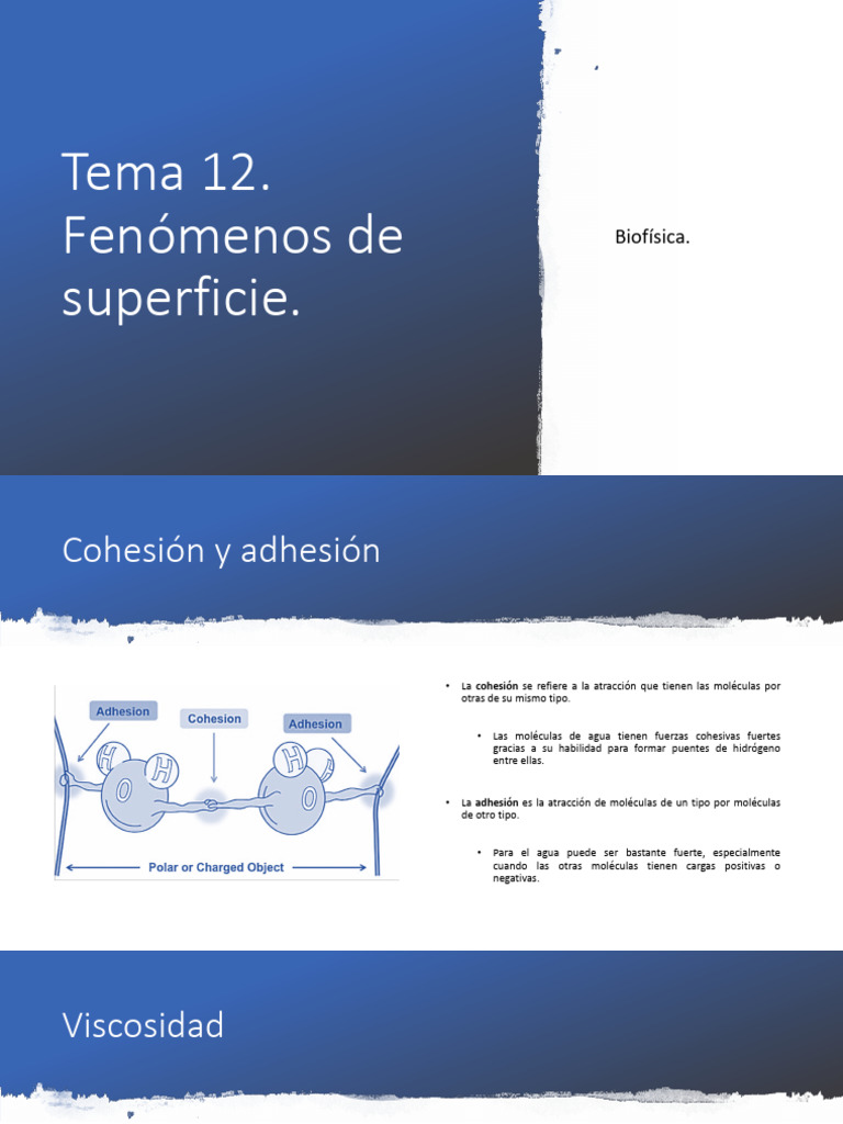 Tema 12. Fenomenos de Superficie | PDF | Viscosidad | Tensión superficial