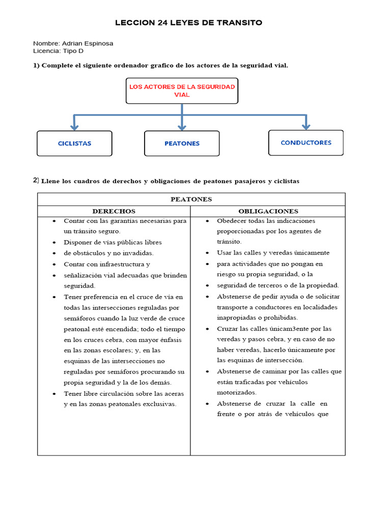 Leccion 24 Leyes | PDF | Tráfico | Peatonal