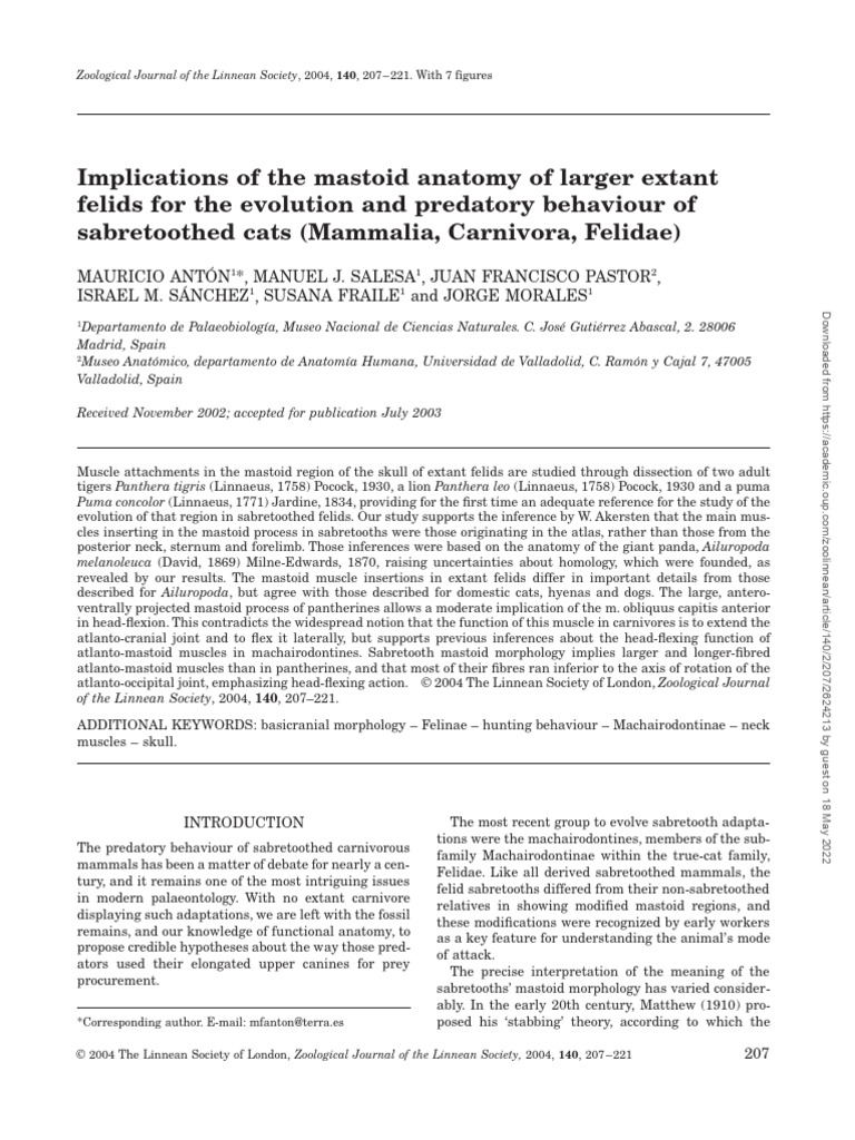 J 1096-3642 2003 00093 X | PDF | Felidae | Anatomy