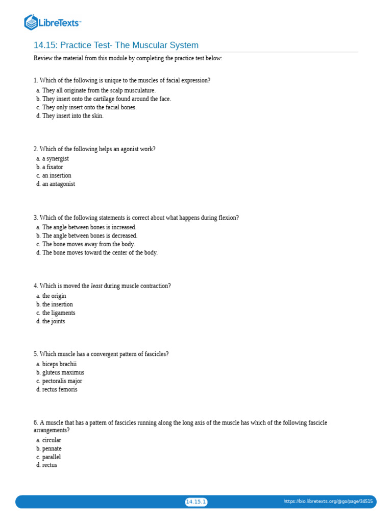 14.15__Practice_Test-_The_Muscular_System | PDF | Human Leg | Abdomen