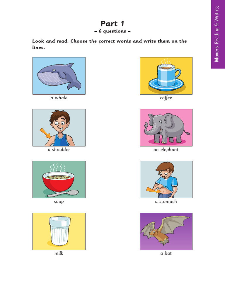 6 Questions - Look and Read. Choose The Correct Words and Write Them On ...