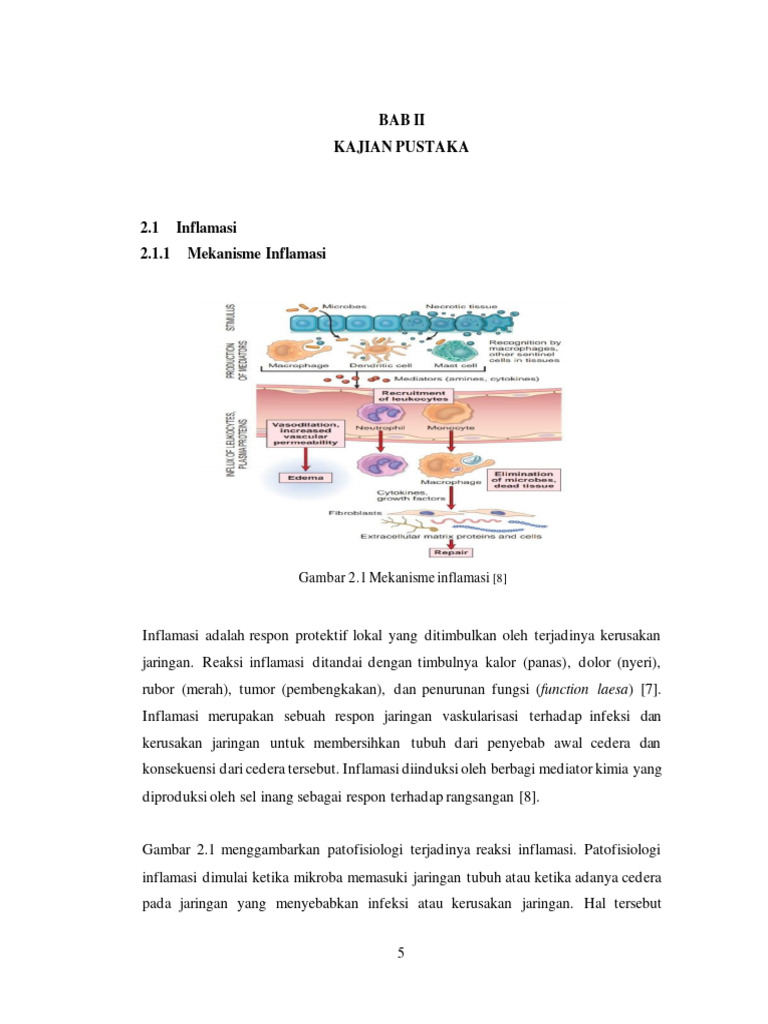 Mekanisme dan Proses Inflamasi | PDF | Sains & Matematika