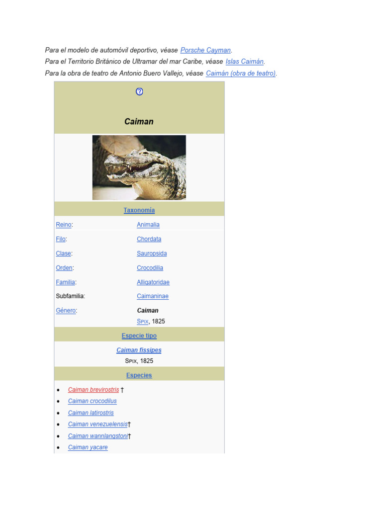 Caiman | PDF | Cocodrilos
