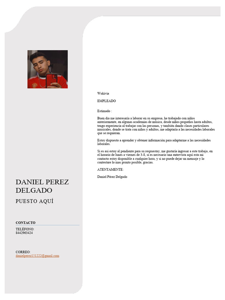 Curriculum Daniel Perez | PDF