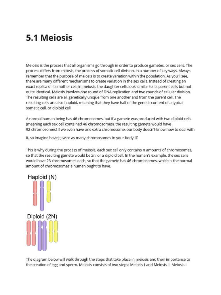 Bio Unit 5 Notes | PDF | Meiosis | Dominance (Genetics)