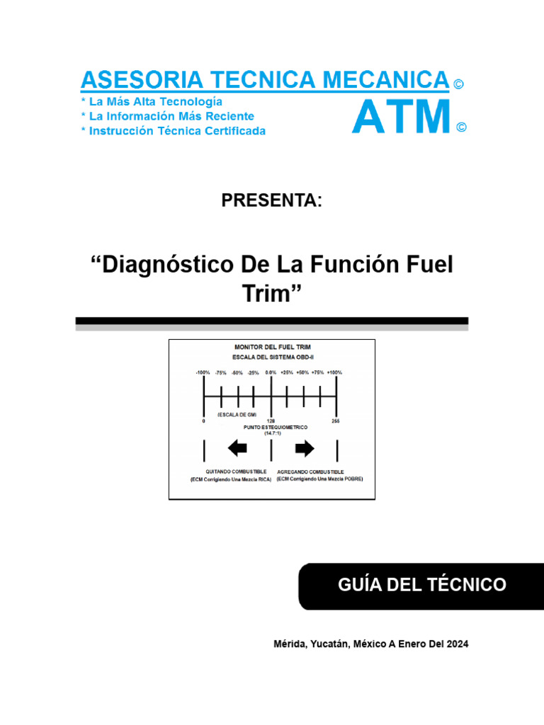 Diagnóstico Fuel Trim | PDF | Acelerador | Inyección de combustible