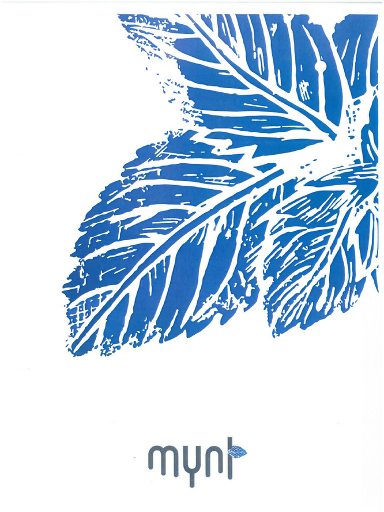 Mynt Menu 2 | PDF