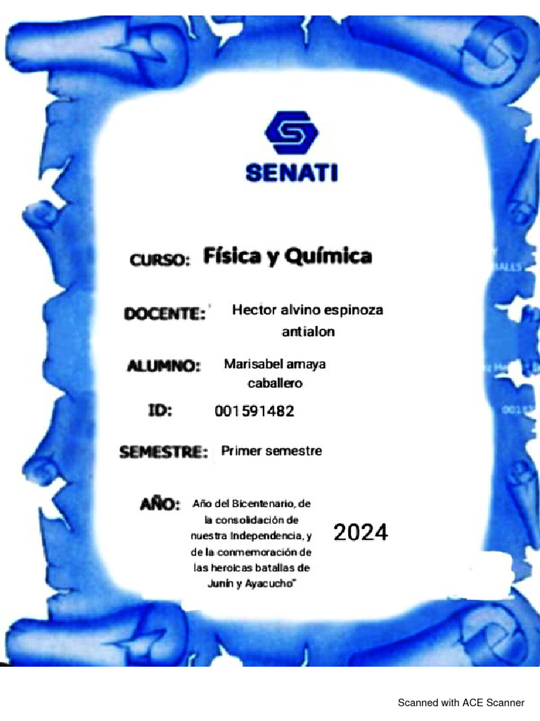 ACE Scanner Document Overview | PDF