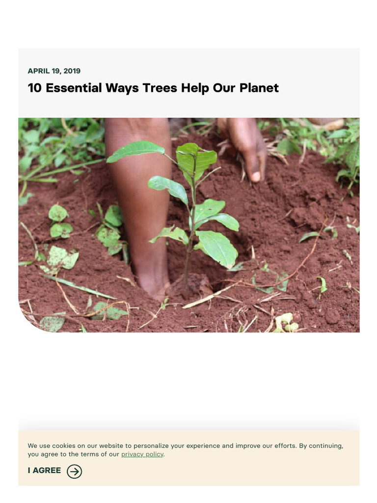 10EssentialWaysTreesHelpOurPlanet-TreesfortheFuture 1697483317487 | PDF | Trees | Forests