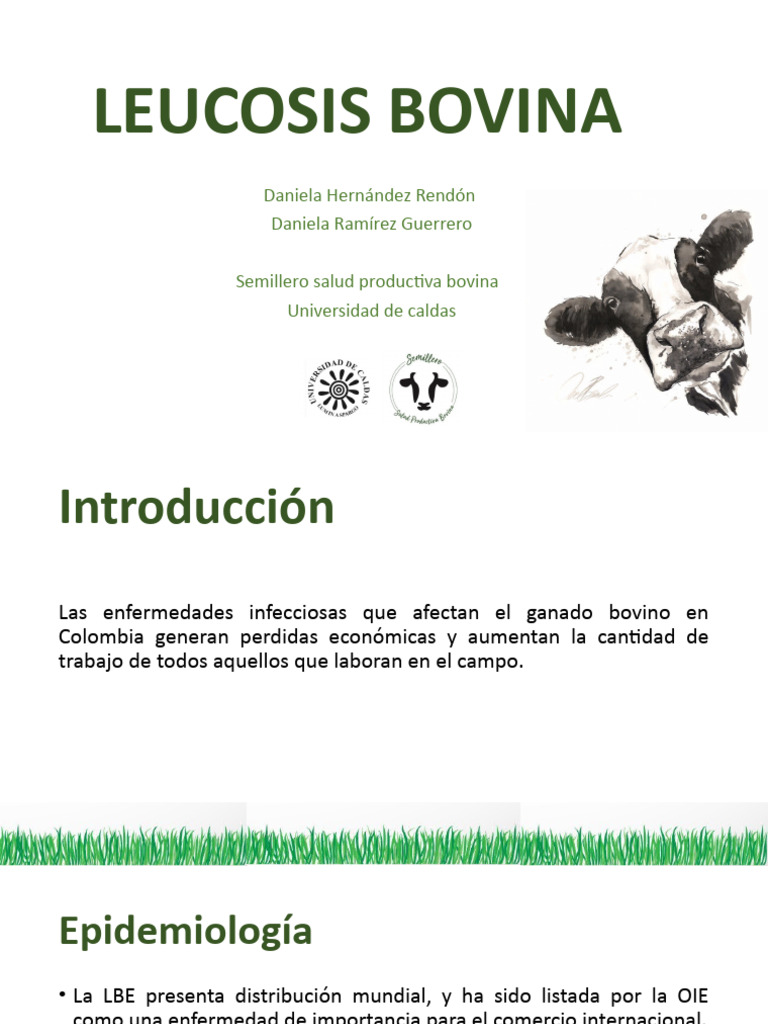 Leucosis Bovina | Descargar gratis PDF | Linfocitos | Virus
