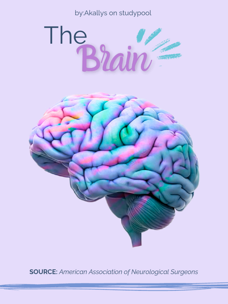 The brain | PDF | Cerebrum | Cerebrospinal Fluid
