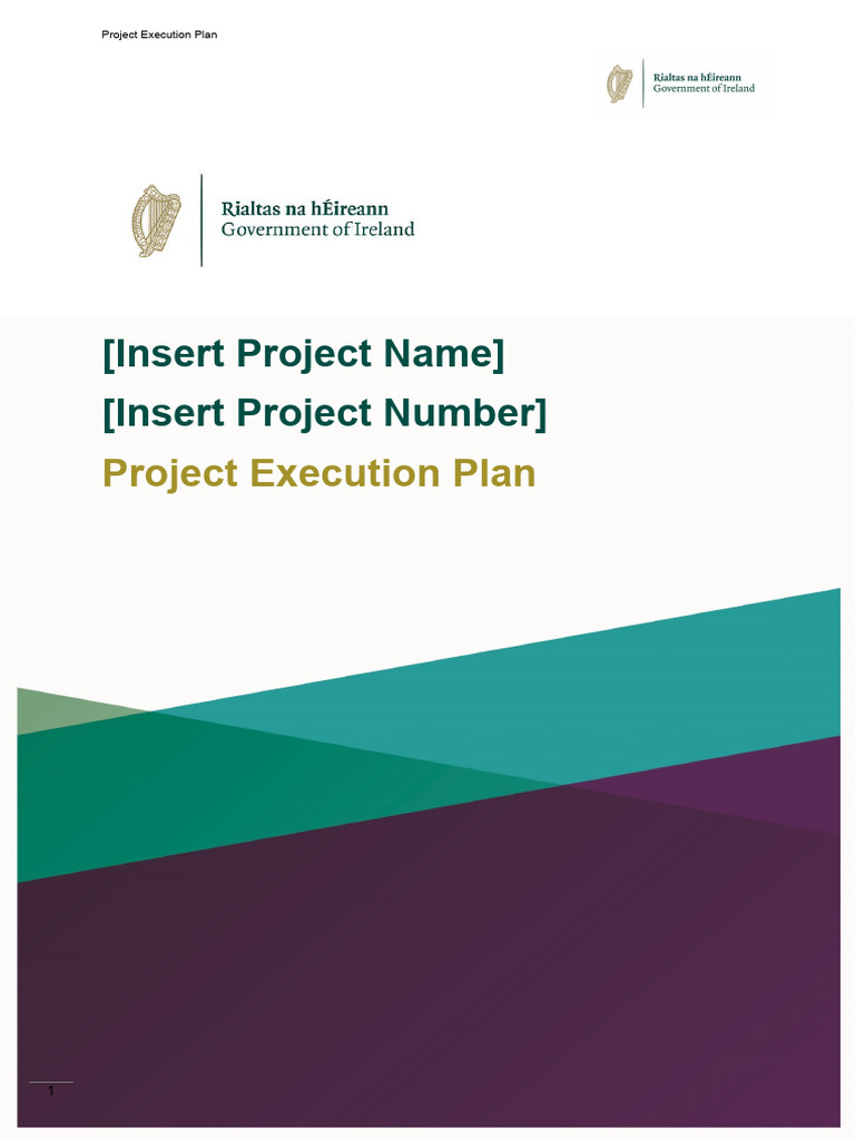 9 Project Execution Plan | PDF | Audit | Governance