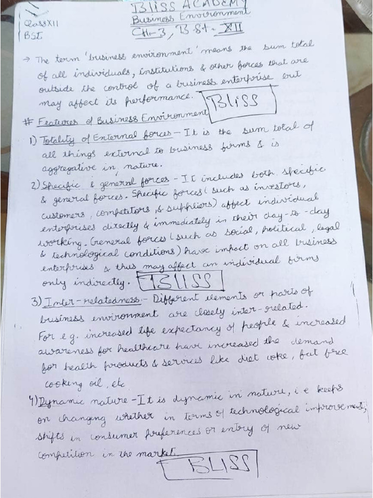 BST ch-3 BUSINESS ENVIRONMENT | PDF