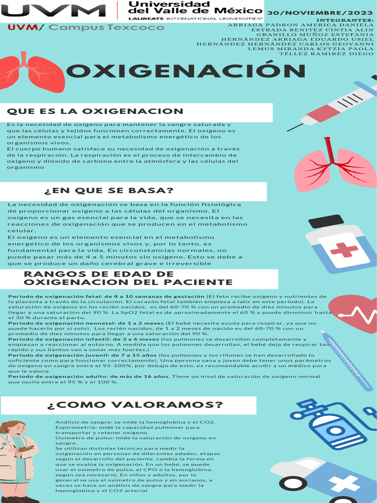 infografía de la oxigenacion | PDF | Feto | Sangre