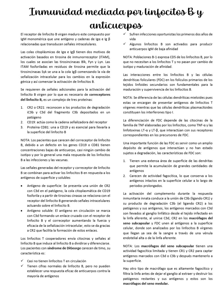 Inmunidad Mediada Por Linfocitos B y Anticuerpos | PDF | Célula B | Linfocitos