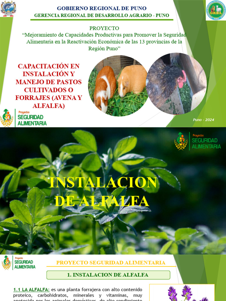 Exposicion Sub Act. 2.2.1 | PDF | Pasto | Alimentos