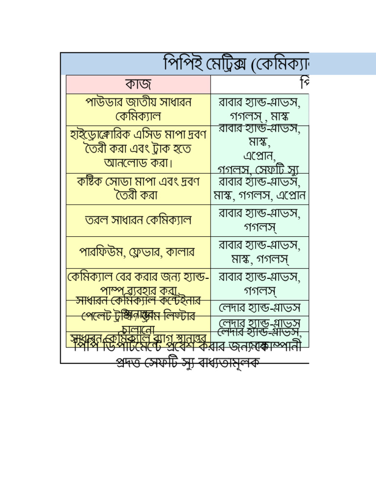 PPE Matrix For NEML | PDF