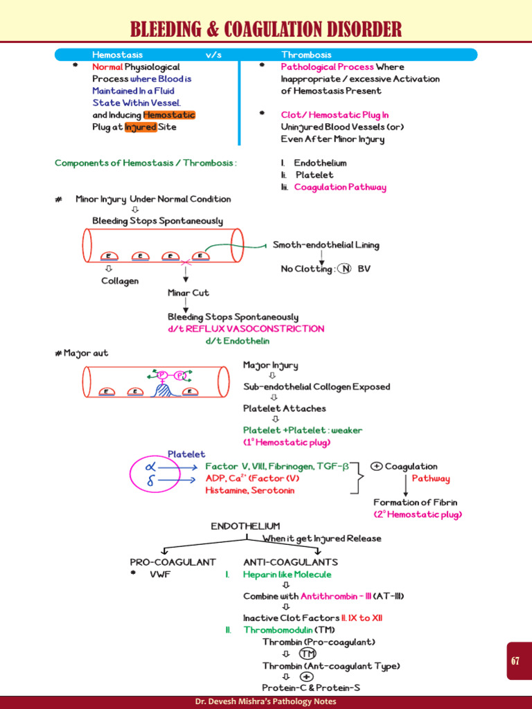 Bleeding & Coagulation Disorders | PDF | Science & Mathematics