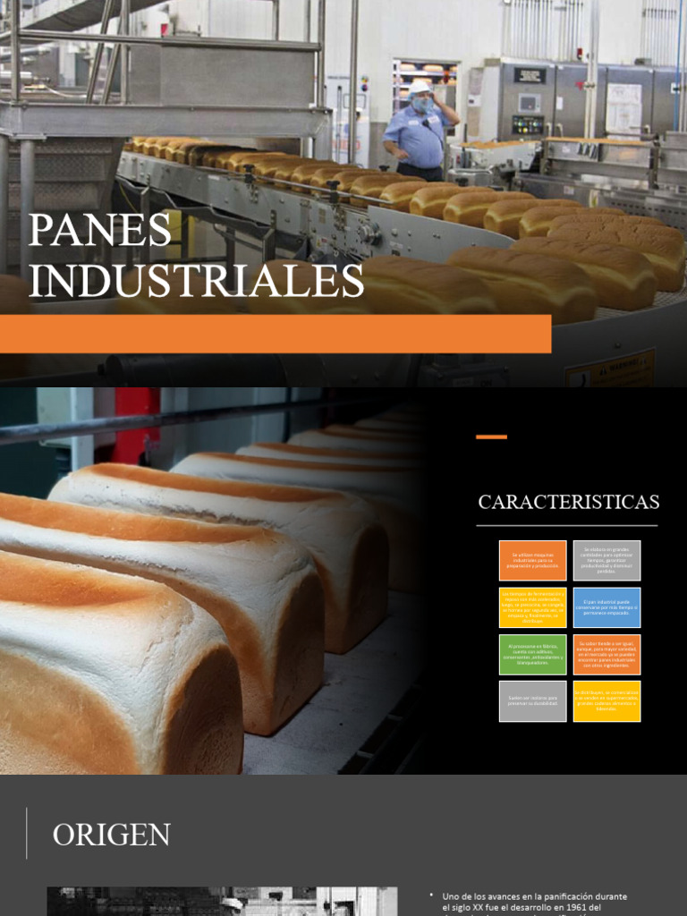 PANES | PDF | Panes | Alimentos