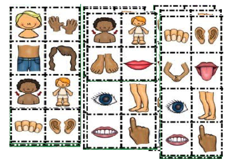 Loteria Partes Del Cuerpo | PDF