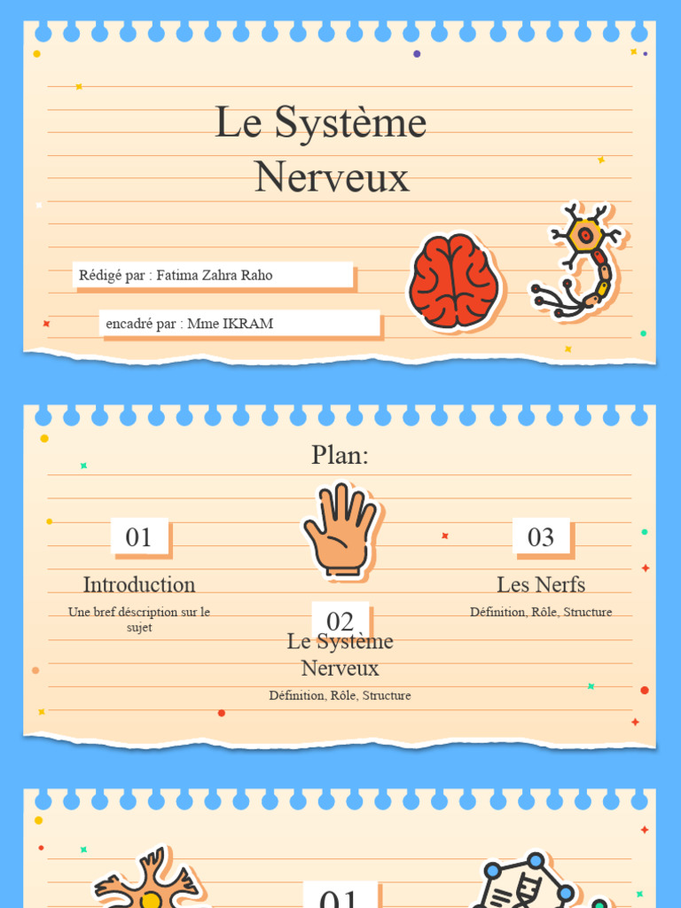 Biology Subject For Elementary - Nervous System by Slidesgo | PDF ...