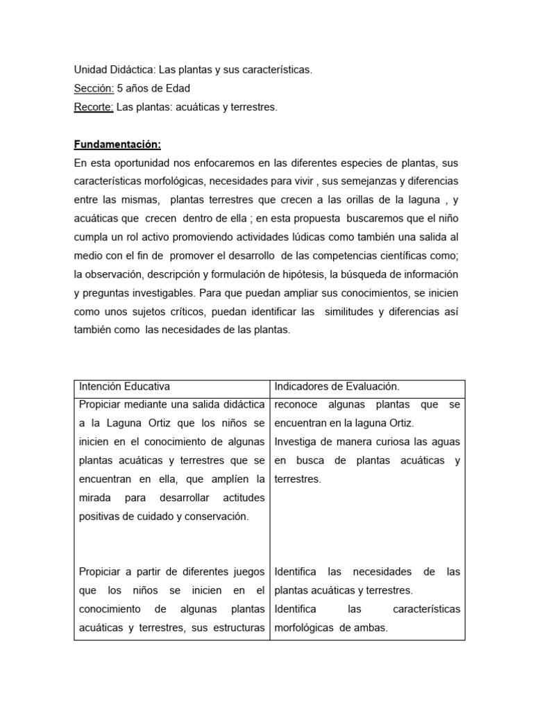 Unidad Didáctica Las Plantas - CS - Ns. Sala de 5 Años | PDF | Plantas | Hoja