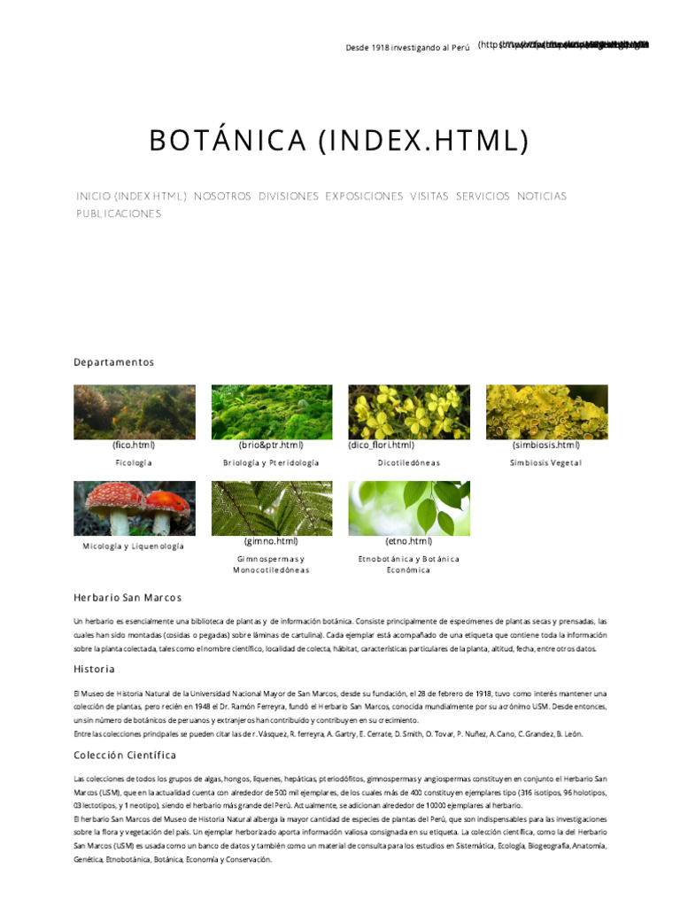 Botánica - MHN | PDF | Botánica | Plantas