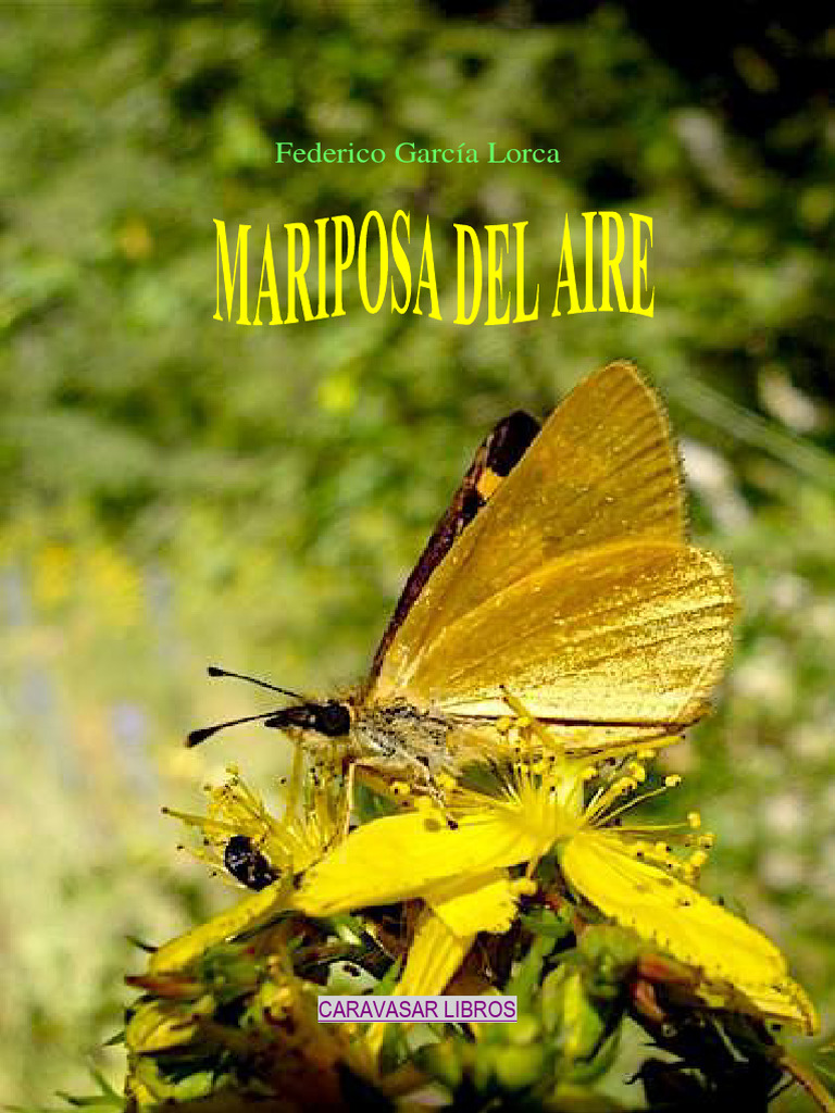 81 Federico García Lorca Mariposa Del Aire Pdf Poesía