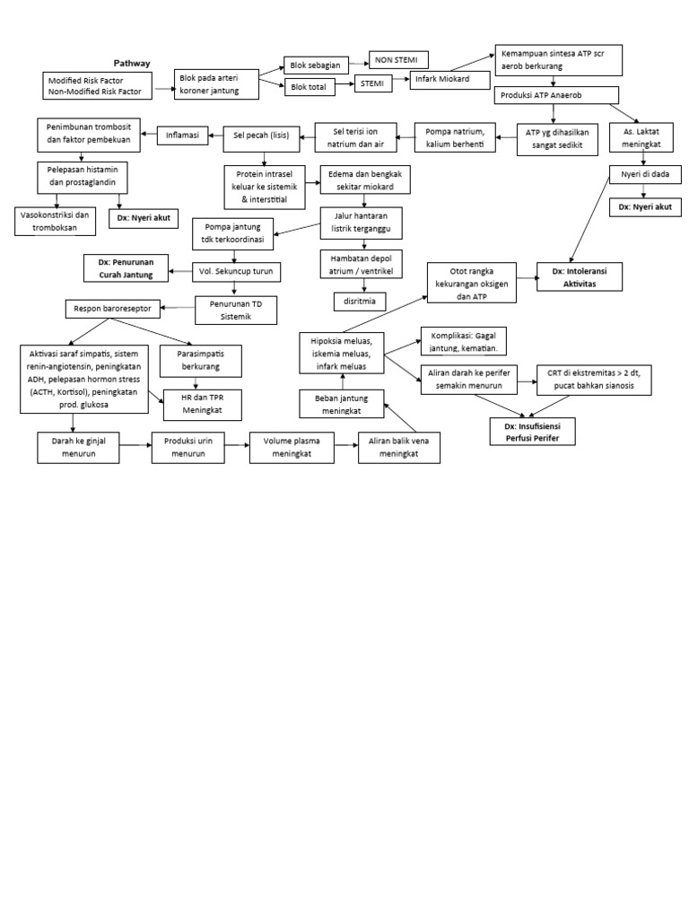 Pathway Nstemi | PDF