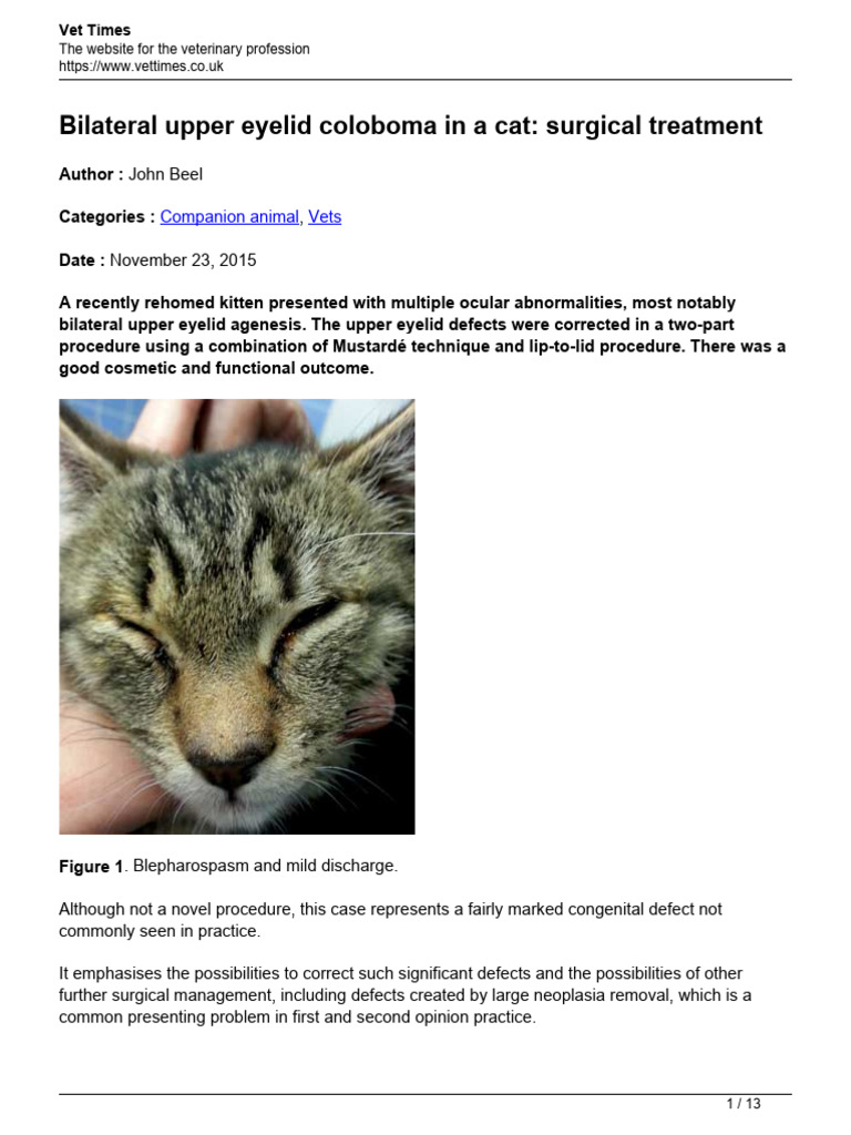 Bilateral Upper Eyelid Coloboma In A Cat Surgical Treatment Bilateral Upper Eyelid Coloboma In