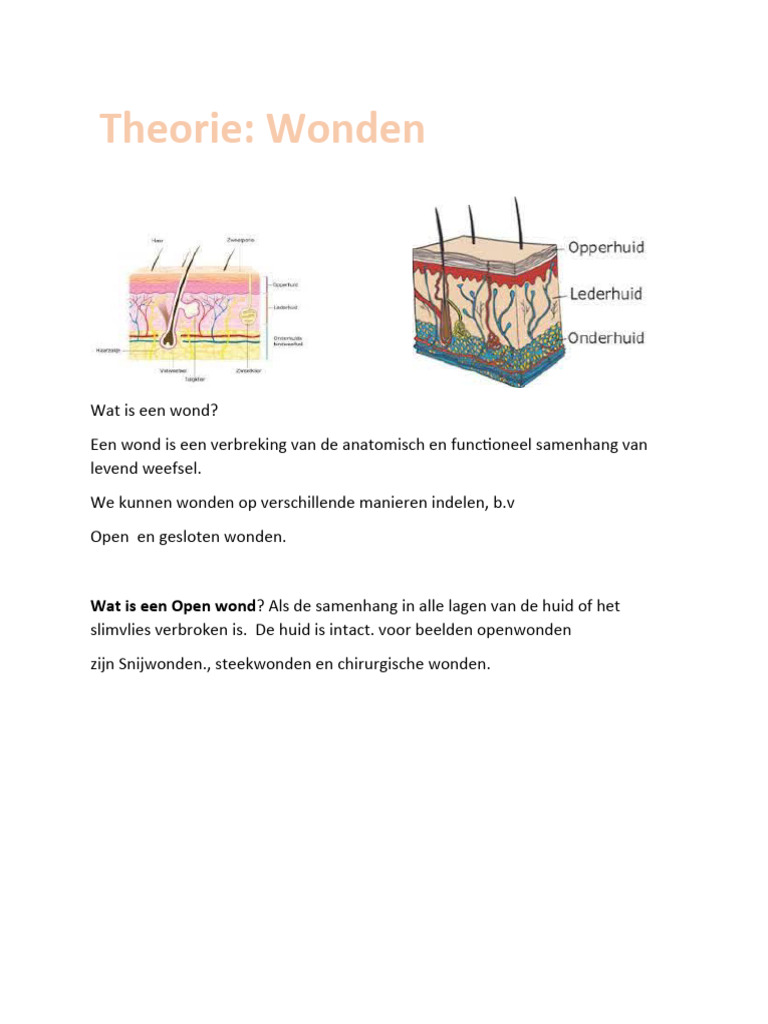 Wat Is Een Wond | PDF