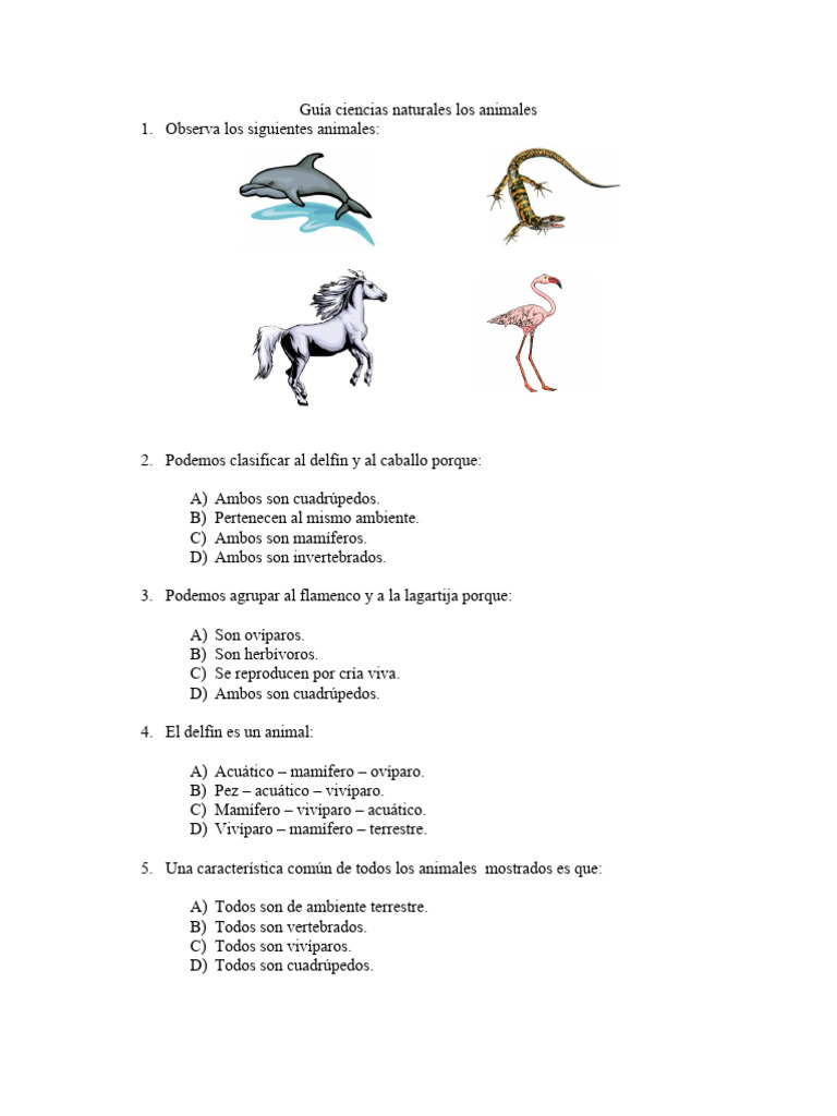 Guía de animales para ciencias naturales | PDF | Vertebrados | Reptil