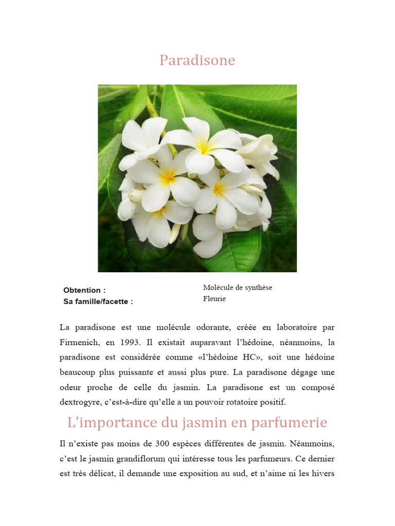 Paradisone : Molécule de jasmin synthétique | PDF | Parfum | Odeur