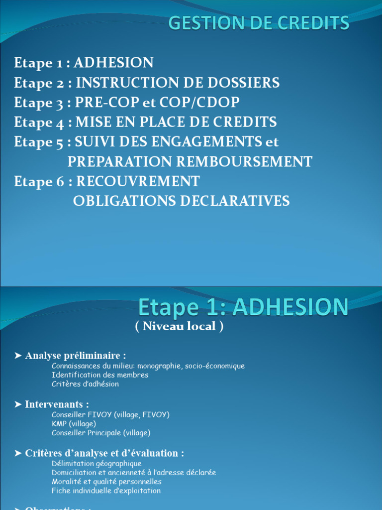 Gestion des Crédits FIVOY : Processus et Suivi | PDF | Crédit | Finance ...