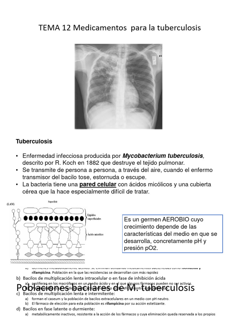 TEMA 12 Medicamentos para La Tuberculosis 2 | Descargar gratis PDF | Tuberculosis | Medicamentos ...