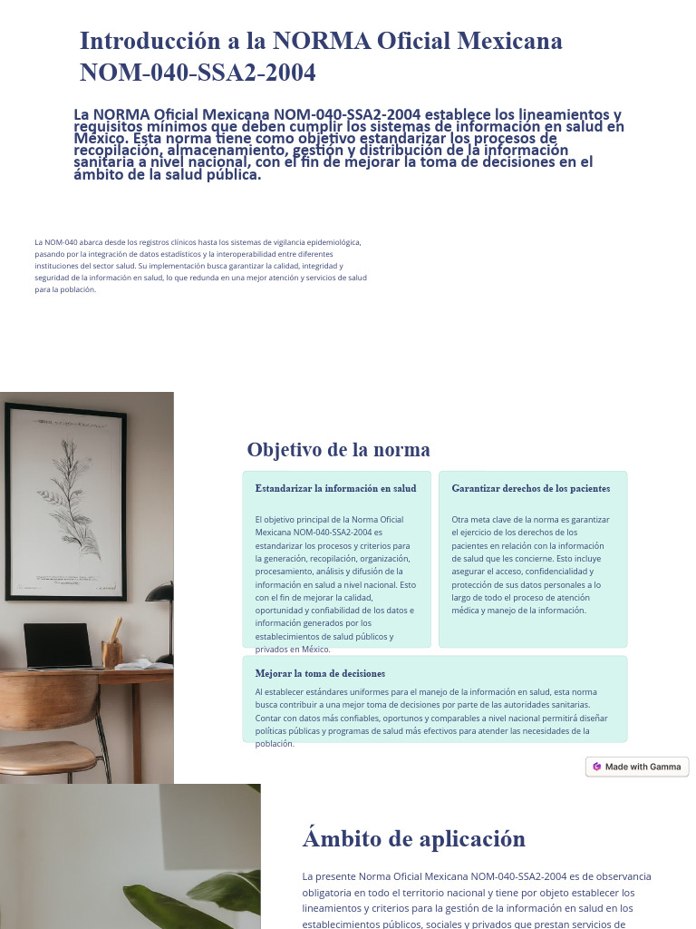 Introduccion A La NORMA Oficial Mexicana NOM 040 SSA2 2004 | PDF | Cuidado de la salud | Información