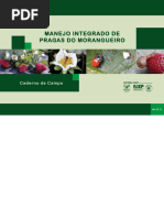 Cefanol | PDF | Inseticida | Agricultura