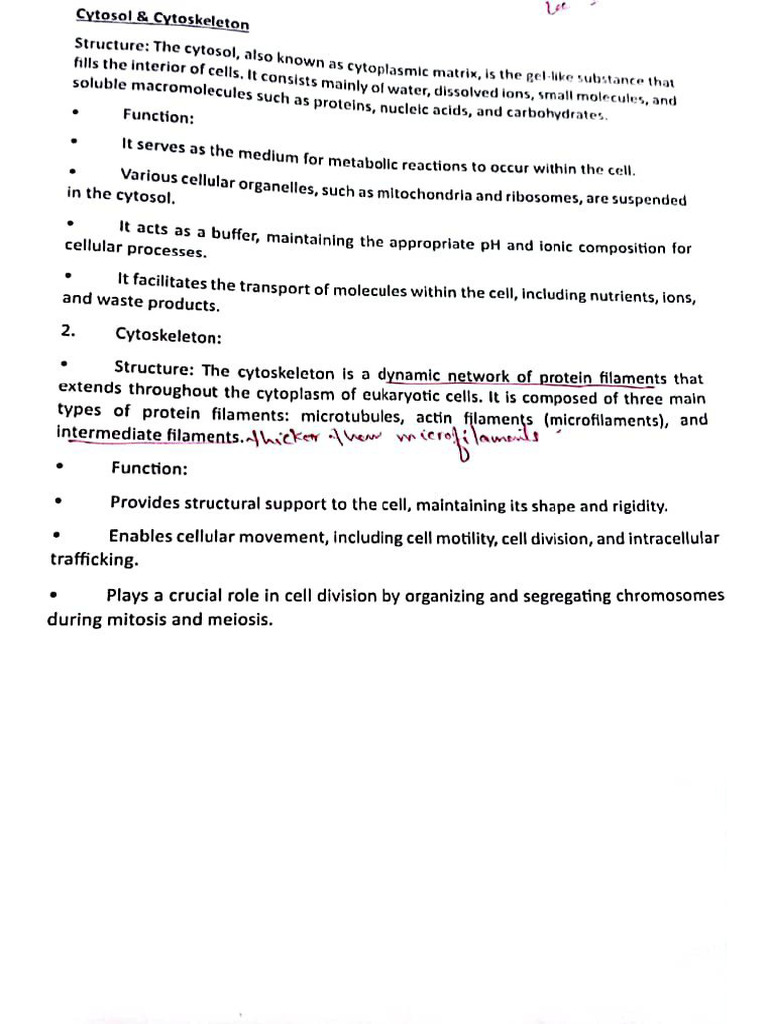 Cytosol and Cytoskeleton | PDF