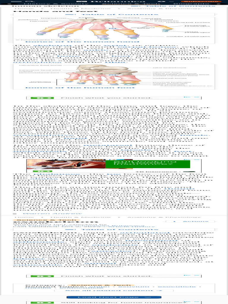 Human Skeleton - Hands, Feet, Joints Britannica | PDF | Hand | Foot