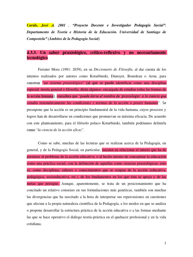 Ambitos de La PS - Caride | PDF | Pedagogía | Conocimiento